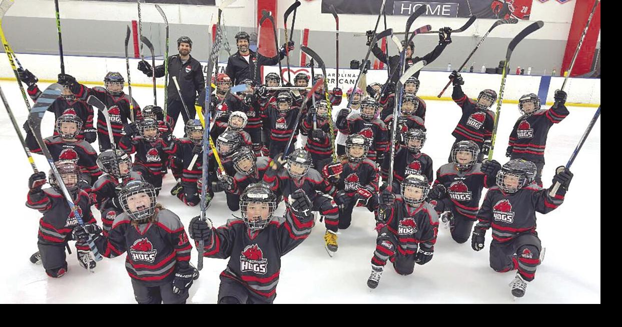 Sportsplex, Hogs on the verge of youth hockey resolution | Community ...