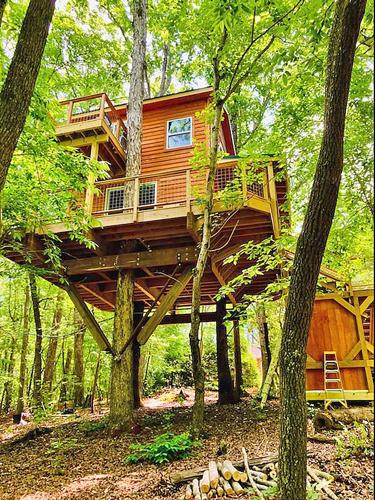 Treehouse in Hillsborough | | newsoforange.com
