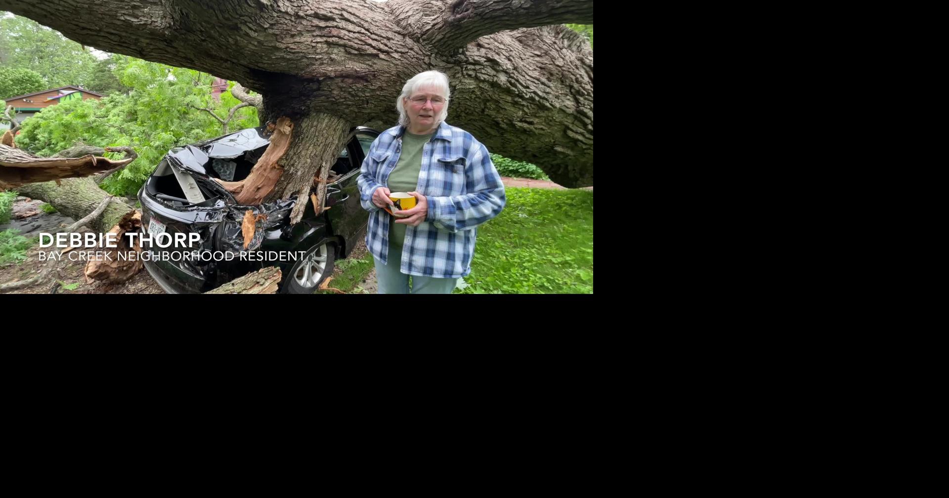 Historic oak tree destroyed by high winds | | newsroom.madison.com