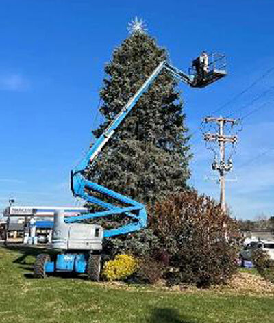 Fixing the tree | | newswatchman.com