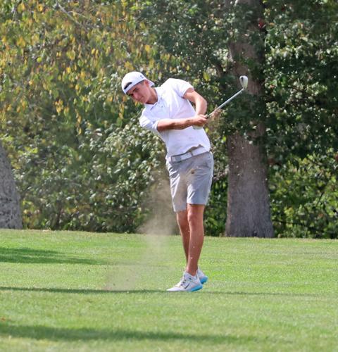 King hit | | newswatchman.com