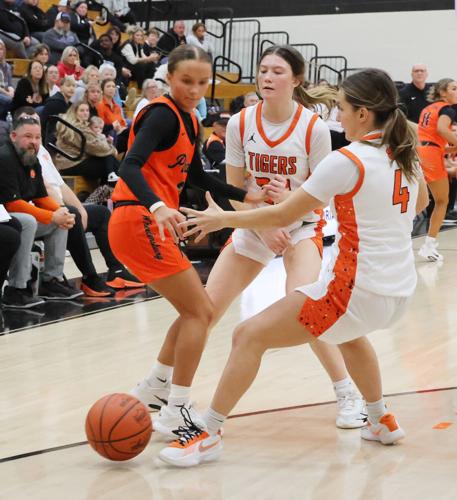 Lady Tigers defeat Gallia Academy before falling in battle with 'Burg ...