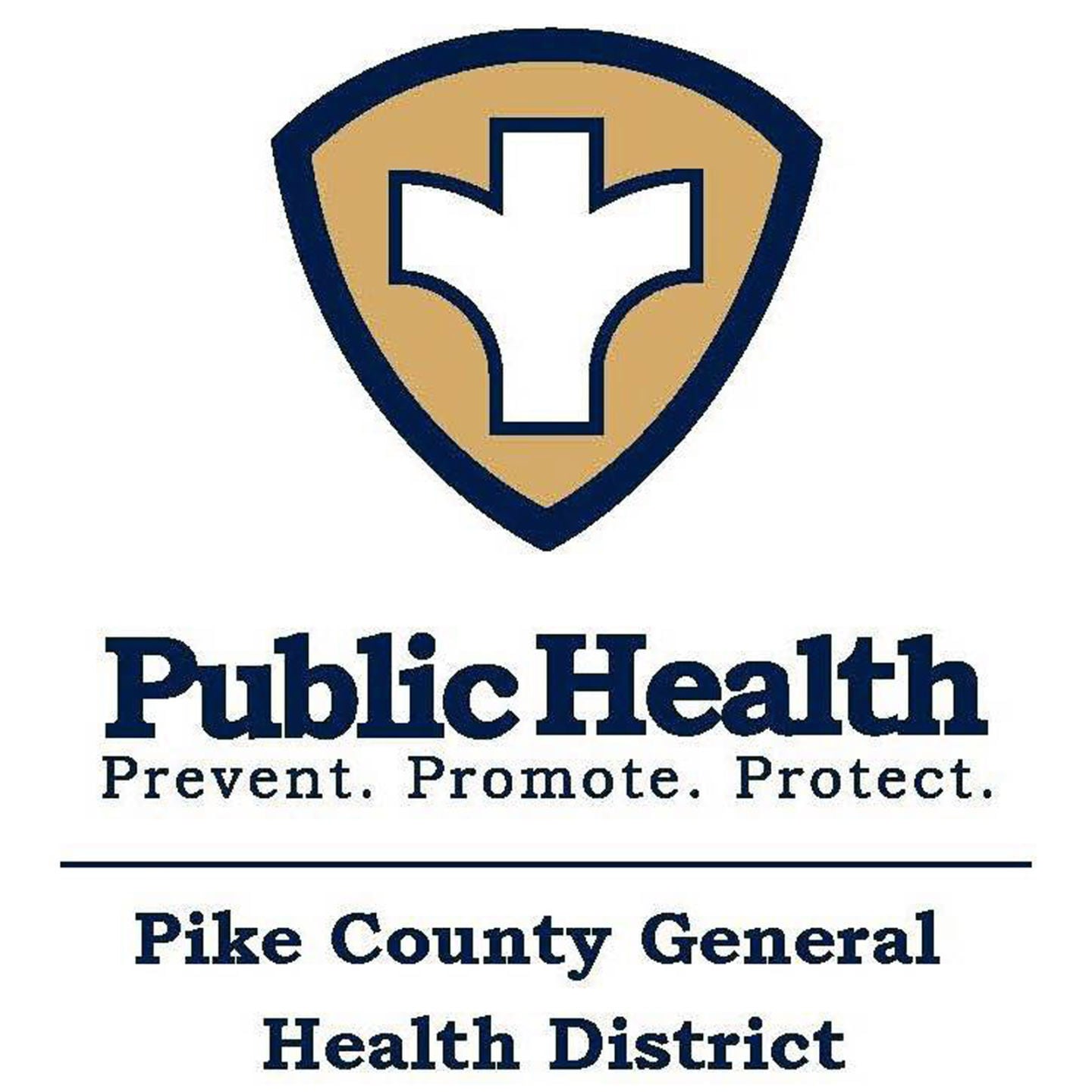 A bat found in Pike County tested positive for rabies | News ...