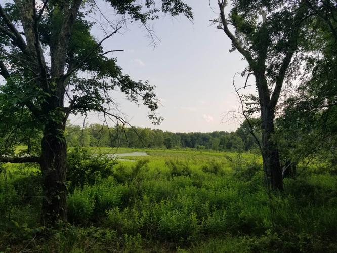 Support Ohio’s Wildlife, State Nature Preserves, and Scenic Rivers with ...