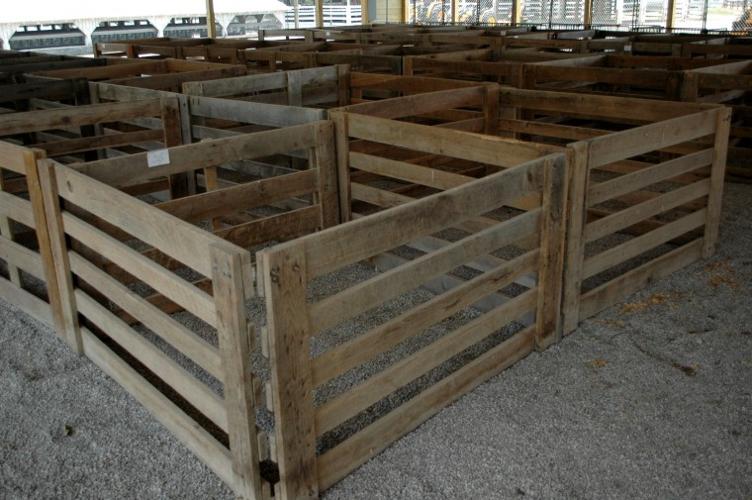 Preparing for the Fair | Gallery | newswatchman.com