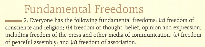 Frozen North? The Chilling of Free Speech in Canada | News ...