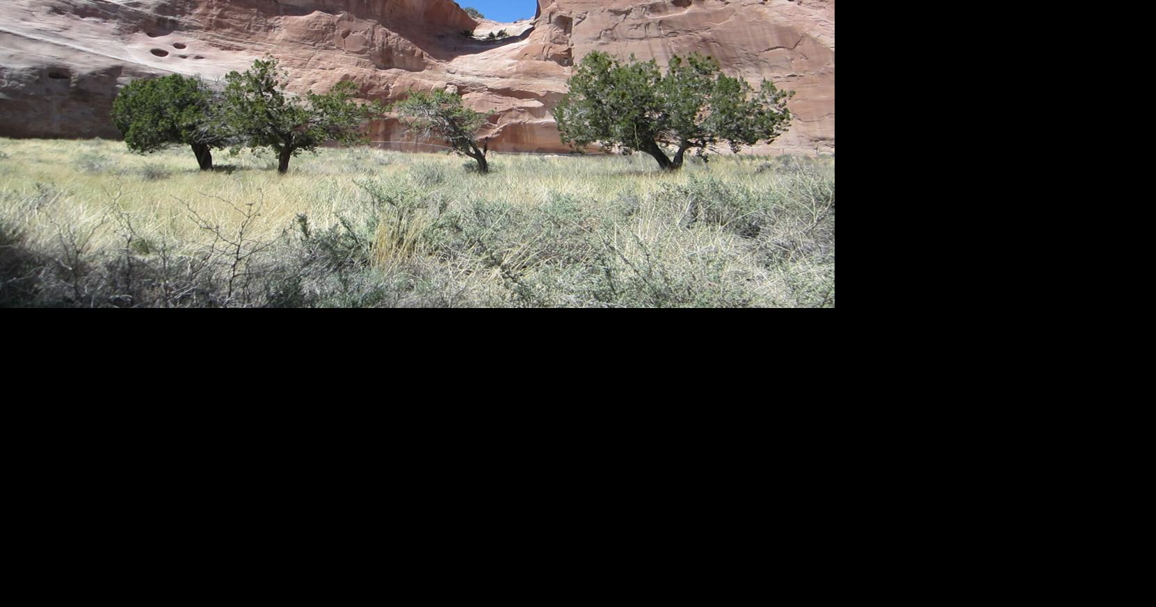 Navajo Housing Authority up in the air | News | nhonews.com