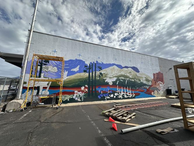Artist collaborates with Habitat for Humanity | Features | nhonews.com