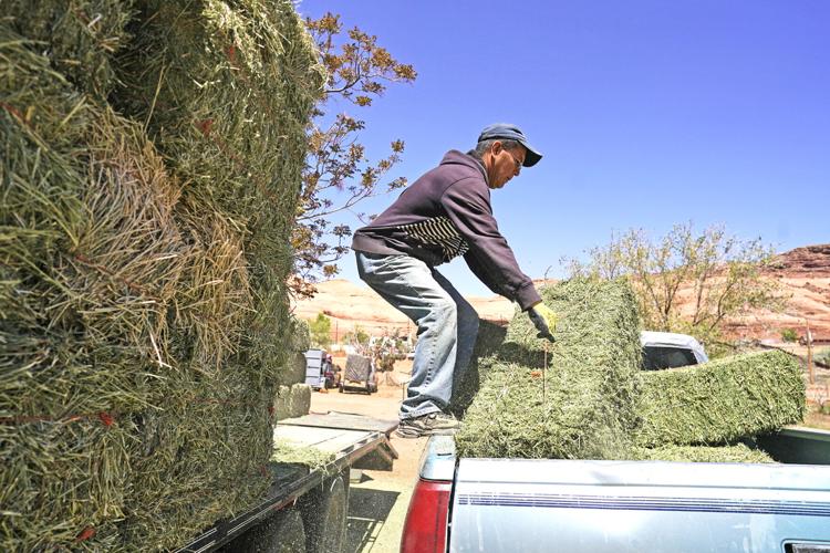 Census field workers back on Navajo Nation, with work cut out for them ...