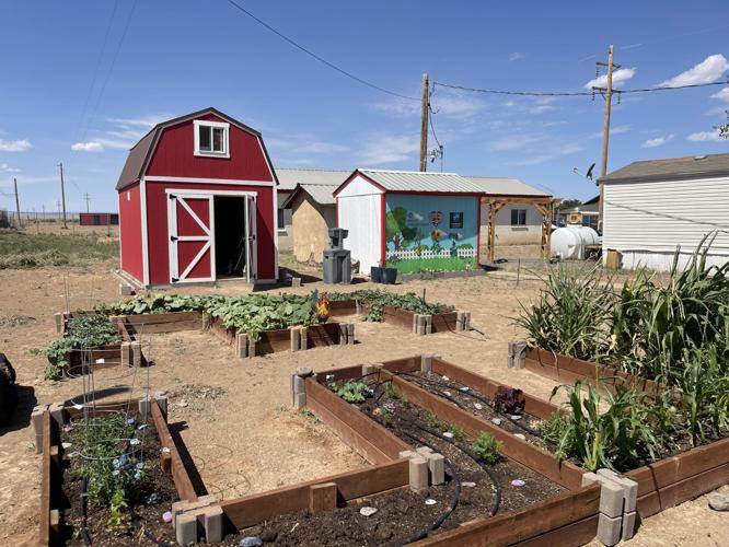 Cultivating dreams: Chinle Planting Hope giving opportunities to local ...
