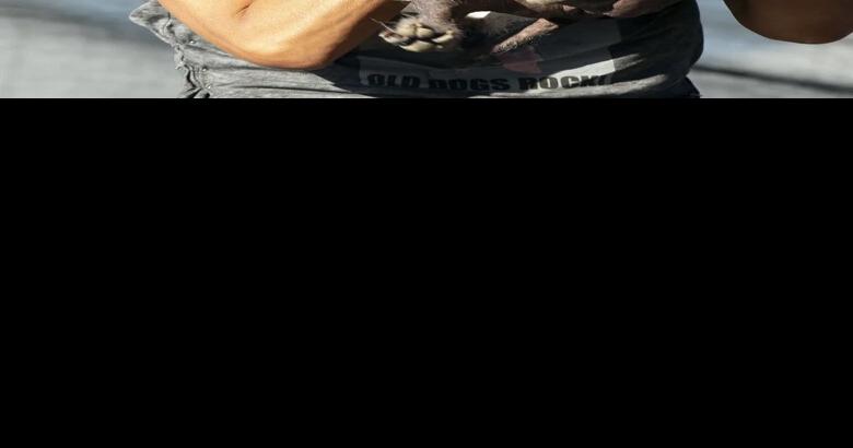 Mr. Happy Face, World’s Ugliest Dog, dies | Features | nhonews.com