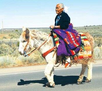 Tsaile/Wheatfields Chapter elders win first place in Diné College 40th ...