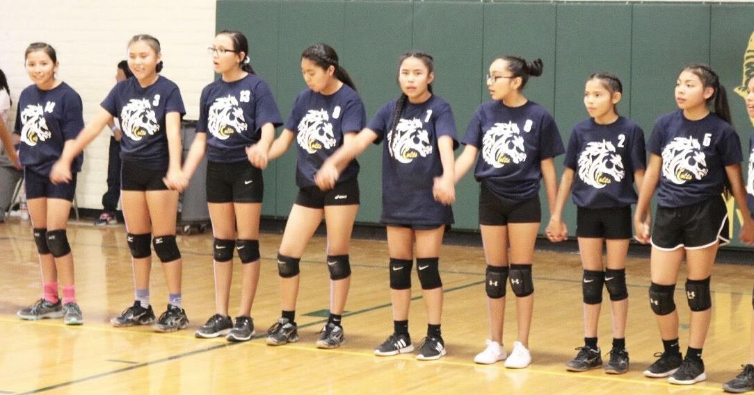 Little Singer Lady Colts of Birdsprings finish 2019 volleyball season ...