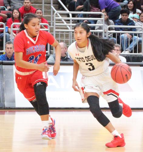 Page Lady Sand Devils earn back to back state titles | Sports | nhonews.com