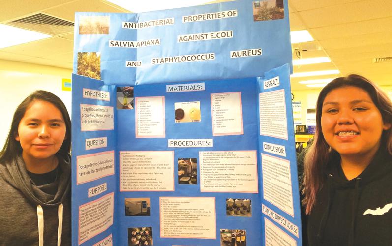 Students win big at Greyhills Academy High School science fair ...