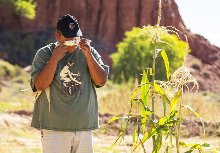 Corn nourishes Hopi identity, but drought is stressing the Tribe’s ...