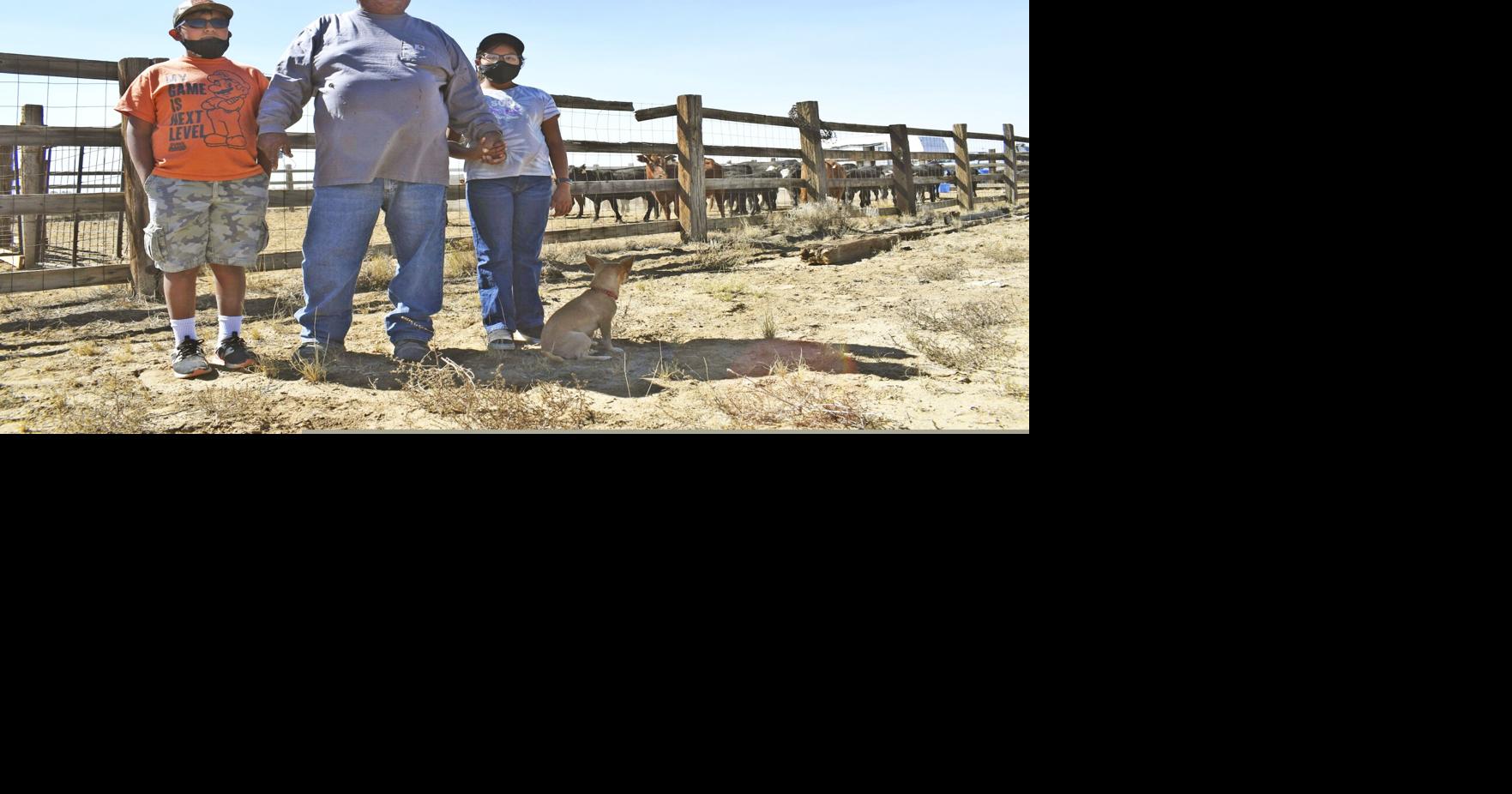 Aid for Navajo ranchers hit by drought, pandemic on its way | News ...