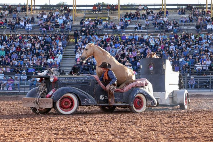 Navajo Pro Rodeo showcases Indigenous riders at Window Rock | News ...