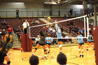 Window Rock Fighting Scouts head to play-in tourney | Sports | nhonews.com