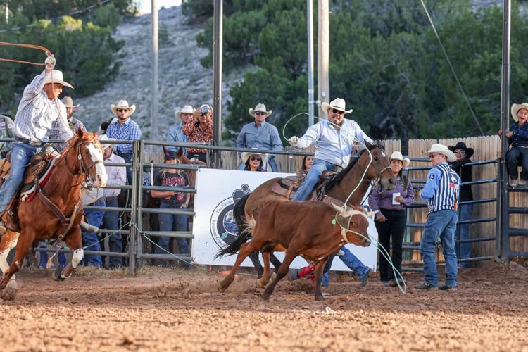 Navajo Pro Rodeo showcases Indigenous riders at Window Rock | News ...