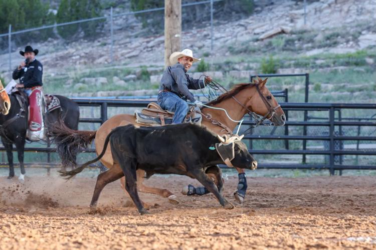 Navajo Pro Rodeo showcases Indigenous riders at Window Rock | News ...