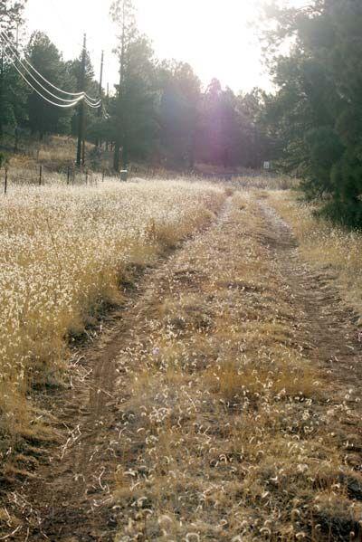 Out & About: Ft. Tuthill Trail | Features | nhonews.com