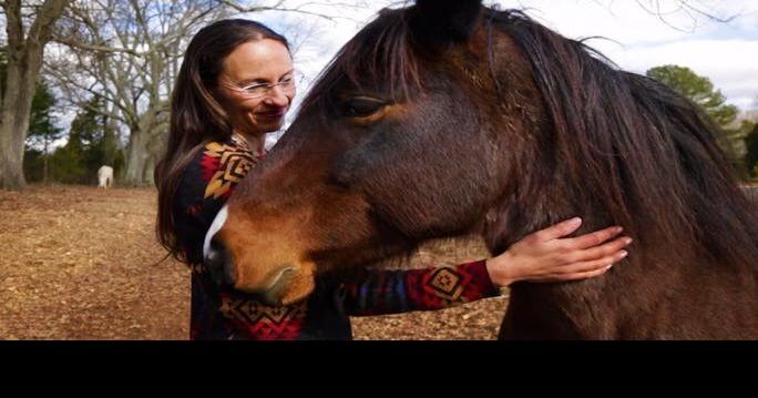 Were horses in Native culture before the settlers came? New study says ...