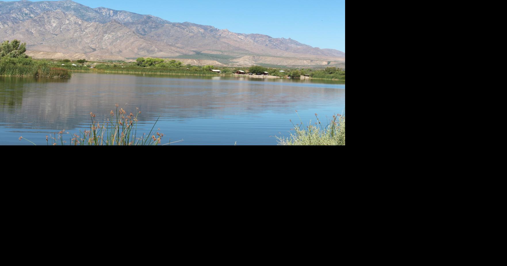 Out and about: Mount Graham is highest peak in southern Arizona and ...