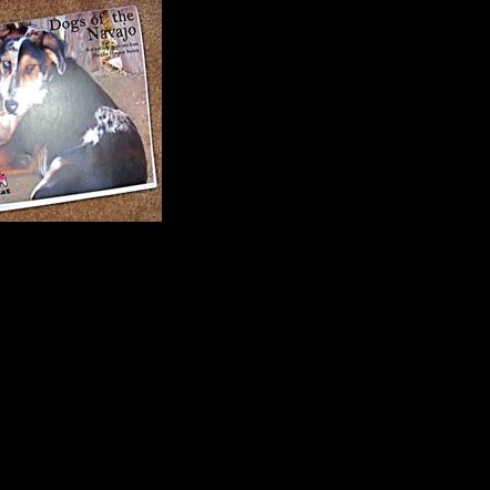 New calendar helps homeless rez pets | Features | nhonews.com