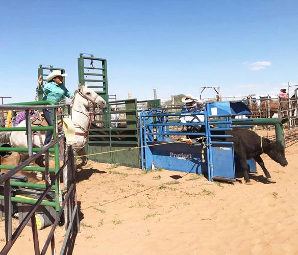 Western Jr. Rodeo Association wraps up 2019 season | Features | nhonews.com
