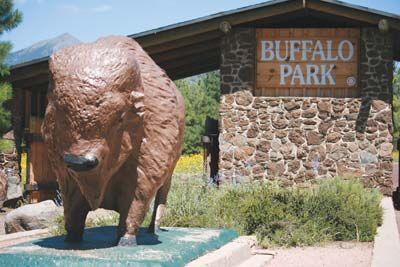 Buffalo Park provides locals a nearby nature fix | Features | nhonews.com