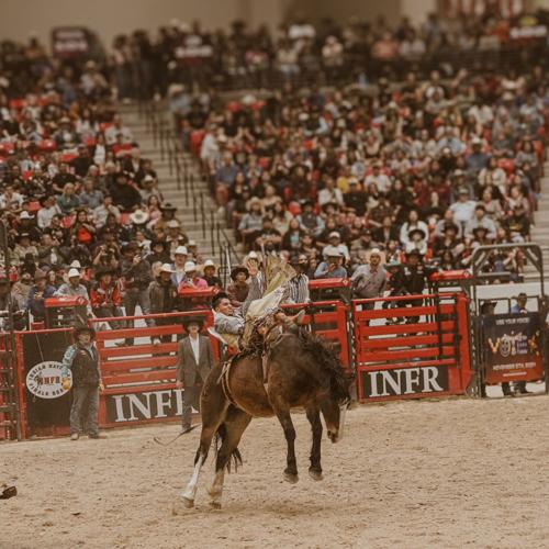 Locals take titles at 2024 Indian National Finals Rodeo | Sports ...