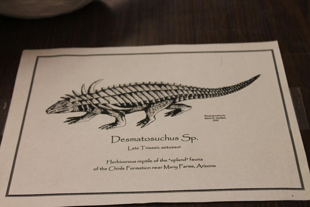 desmatosuchus predators