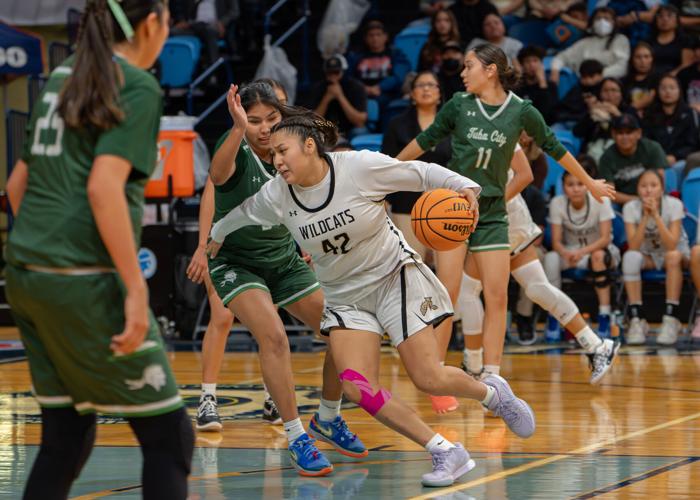 Chinle Wildcats dominate 3A North, will continue to the AIA playoffs ...