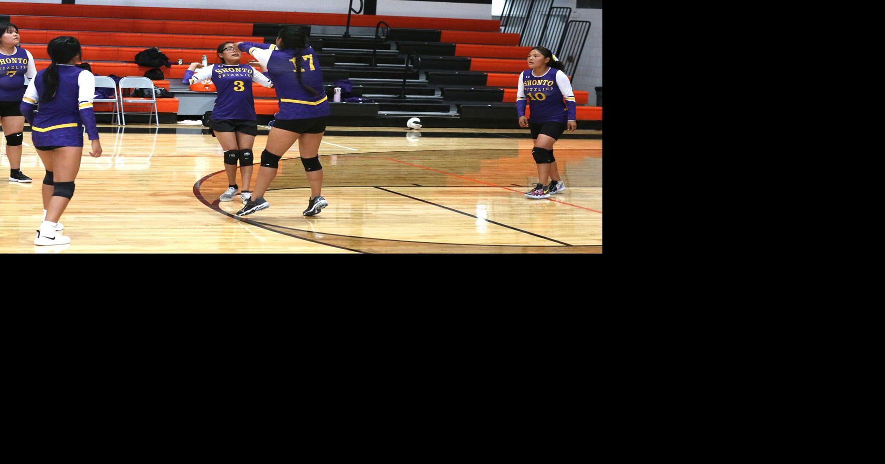 Shonto Prep volleyball takes loss to Williams | Sports | nhonews.com