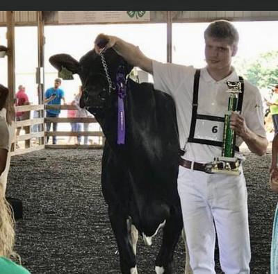 2023 Niagara County Youth Fair 4-H Dairy Cattle Show results ...