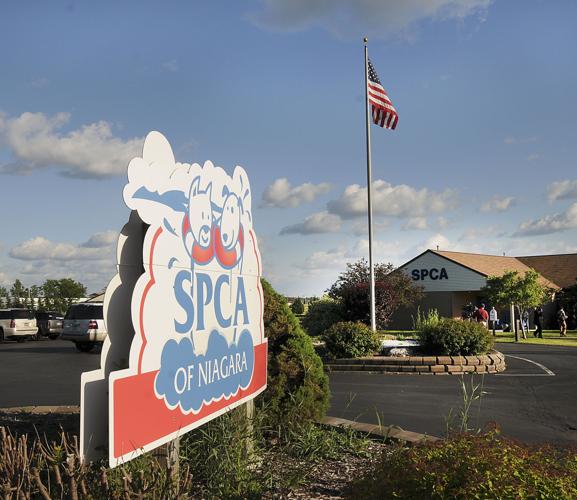 New day at the Niagara SPCA | Local News | niagara-gazette.com