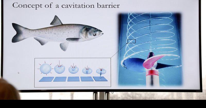 Winner crowned in contest to prevent Asian carp invasion | News ...