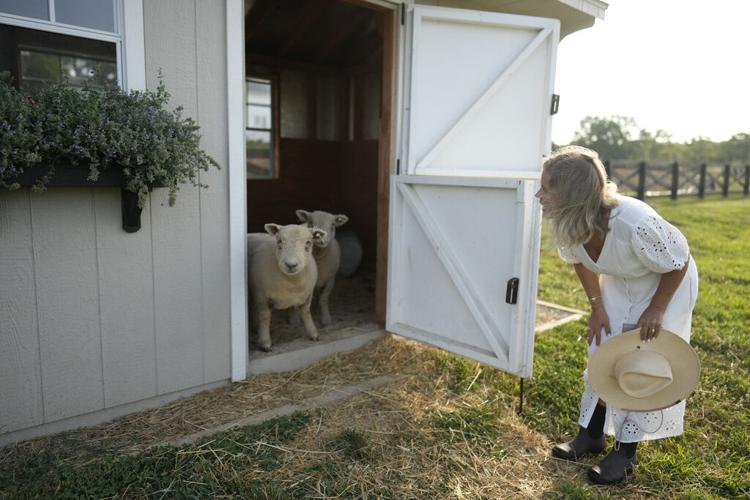 Mini farm animals are adorable. There's also a growing demand for them ...