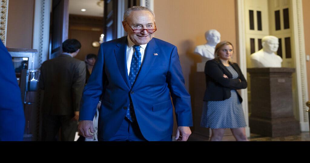 Schumer reelected Senate leader after Dems expand majority | News ...
