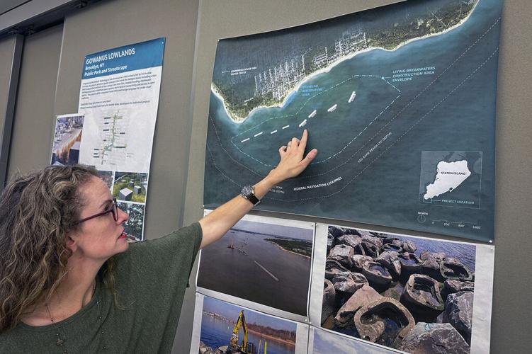 These artificial reefs off a New York City beach help sea creatures ...