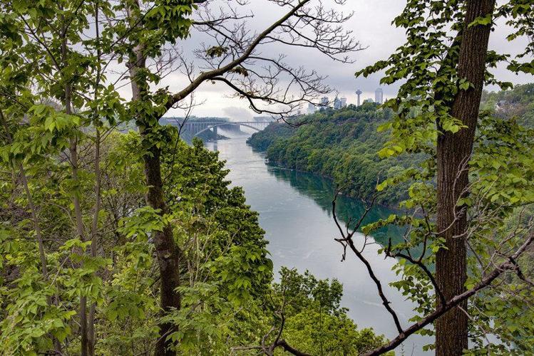 Niagara Gorgeview: The path progresses | Local News | niagara-gazette.com