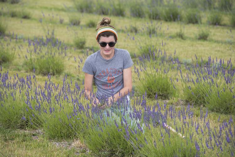 Kin Loch Farmstead's lavender picking, other summer events | Local News ...