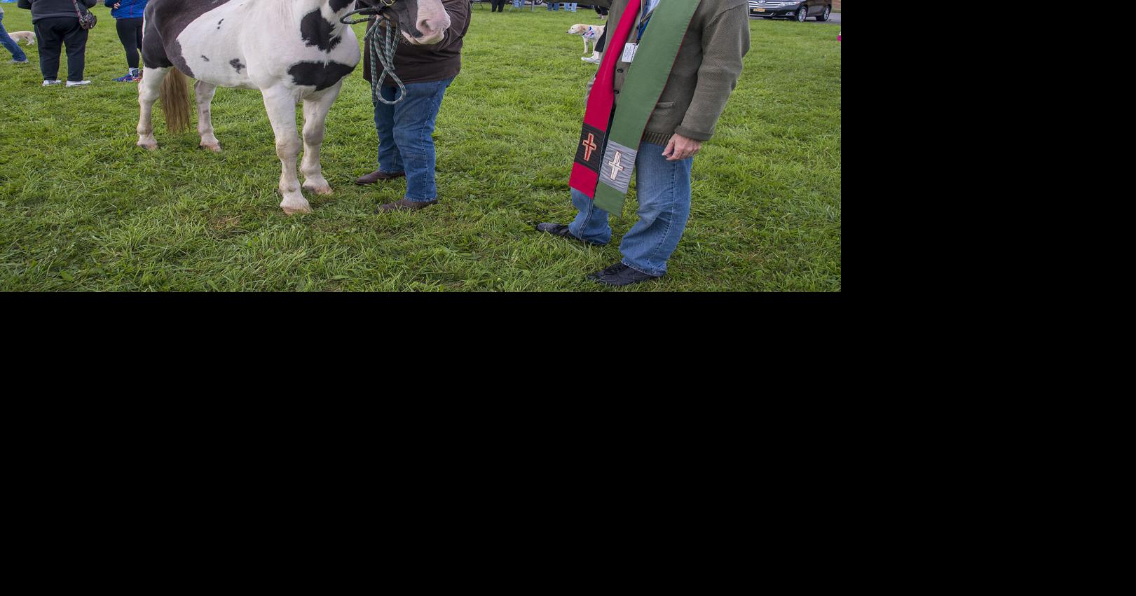 Community Missions hosting annual Blessing of the Animals on Saturday ...