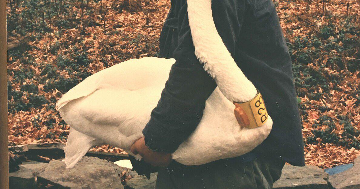 THE GREAT OUTDOORS: The legacy of Project UltraSwan | Lifestyles ...