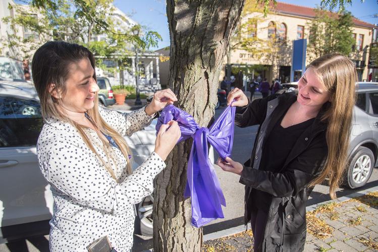 SLIDESHOW: Domestic Violence Purple Ribbon Walk | Gallery | niagara ...