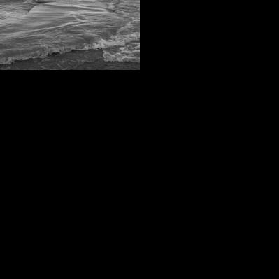 Olcott Yacht Club retaining wall collapses into Lake Ontario | Local ...