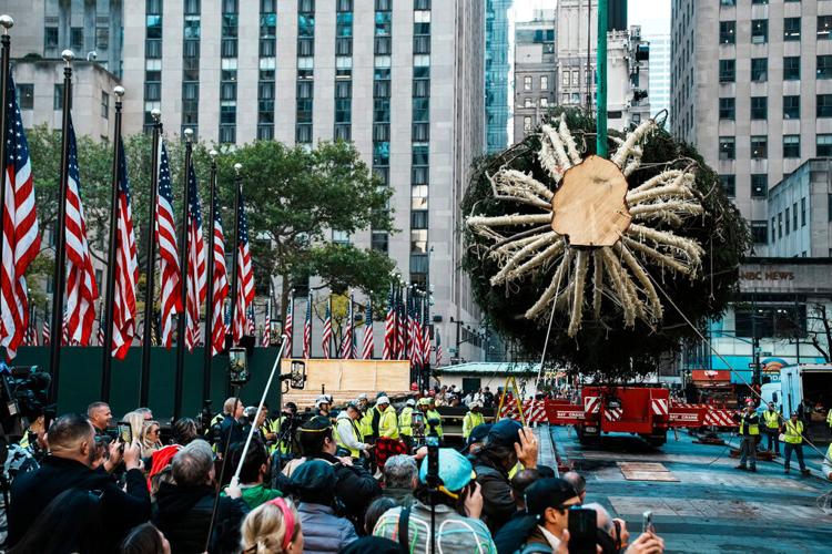 Rockefeller Center Christmas tree arrives in Manhattan, kicking off New ...
