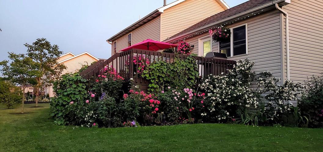 Family remembers Danielle Hart as a loving free-spirit | Local News | niagara-gazette.com