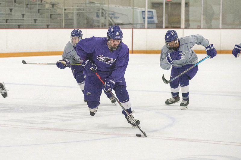 NU hockey opens new season with heightened expectations | Sports ...